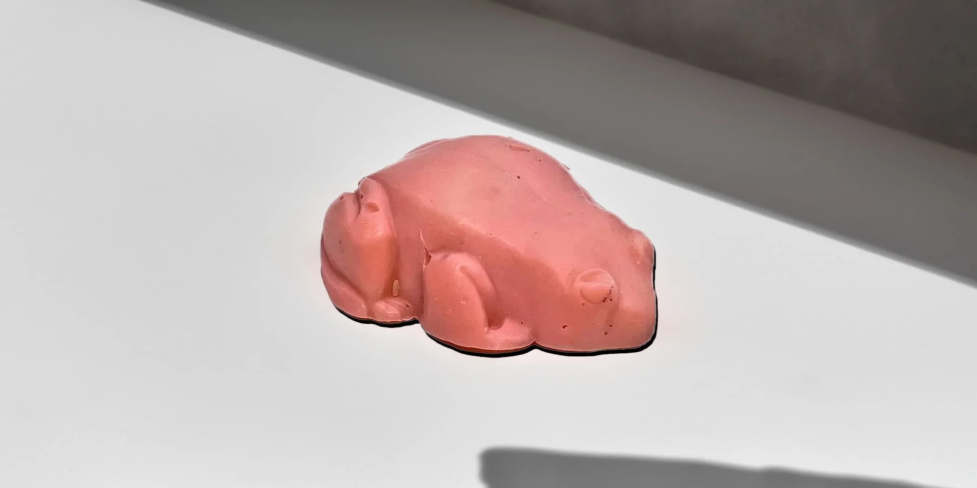 The Frogs of Enchanted Pond: A Sudsy Adventure – Waterfall Glen Soap ...